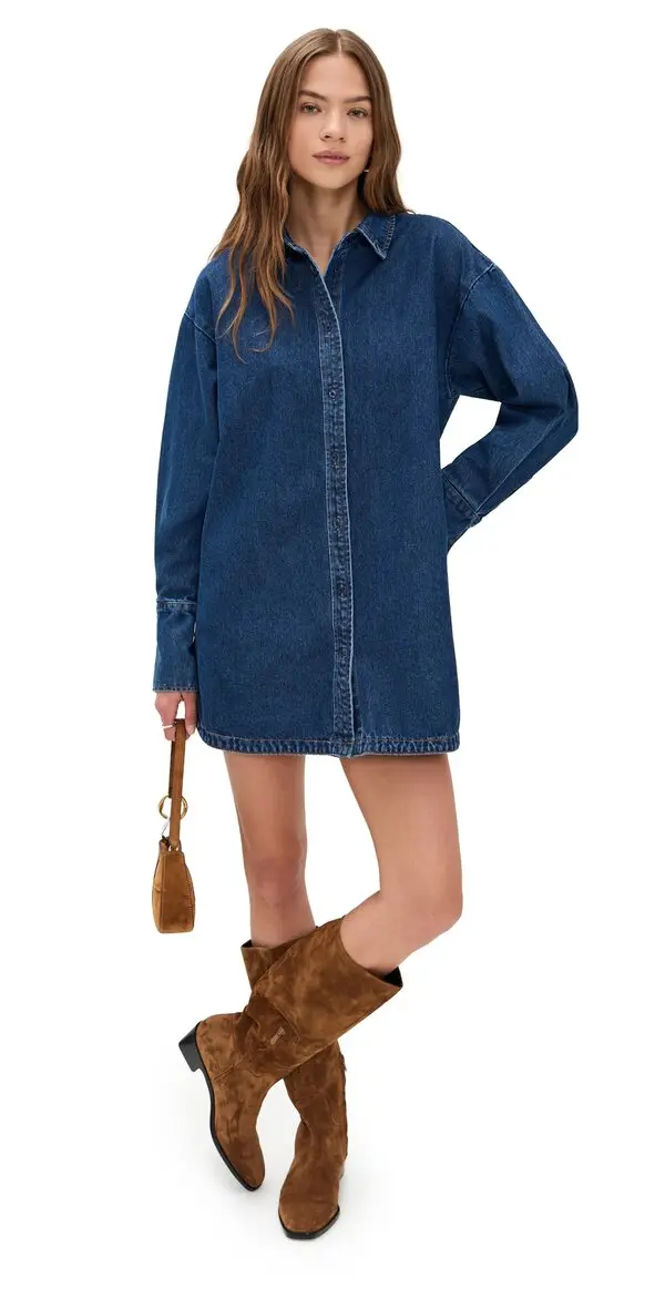 Lioness Denim Mini Shirt Dress