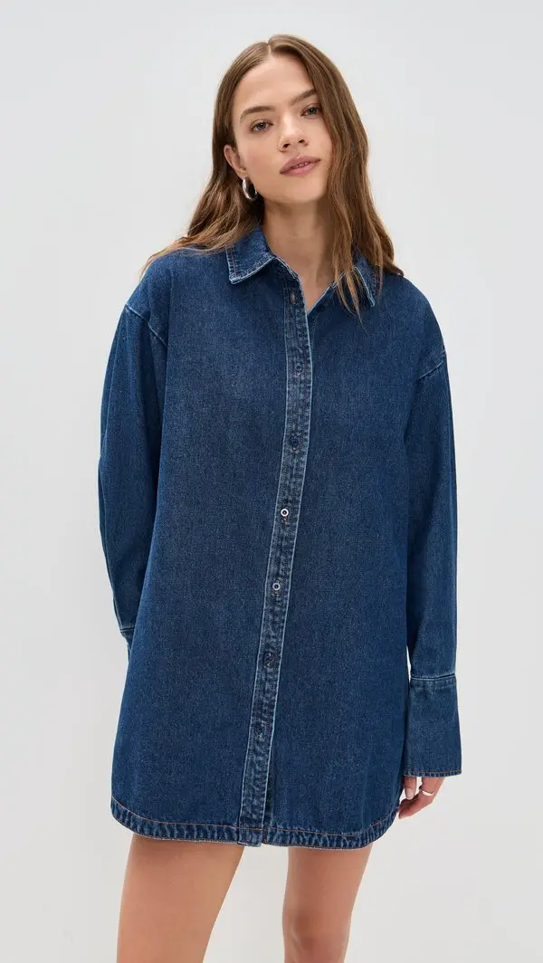 Lioness Denim Mini Shirt Dress