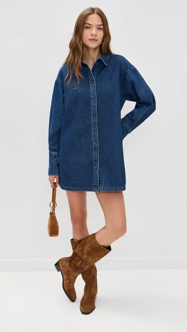 Lioness Denim Mini Shirt Dress