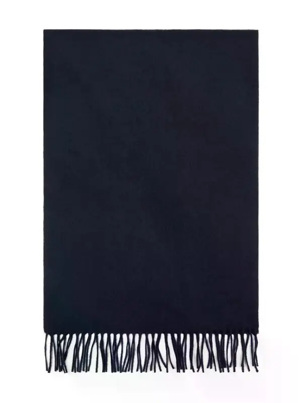 TOD'S Fringed Cashmere Scarf - Blue
