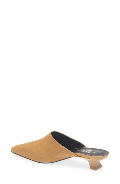 Cordani Ronan Kitten Heel Mule - Sella Suede