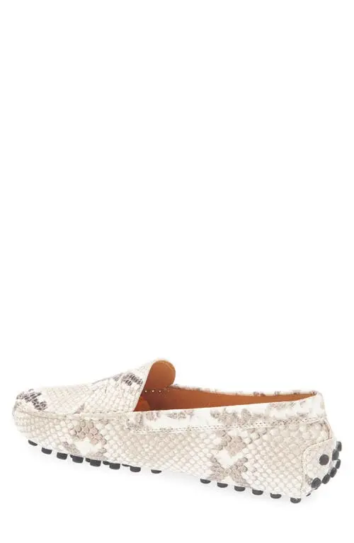 TOD'S Gommino Snakeskin Embossed Driving Loafer