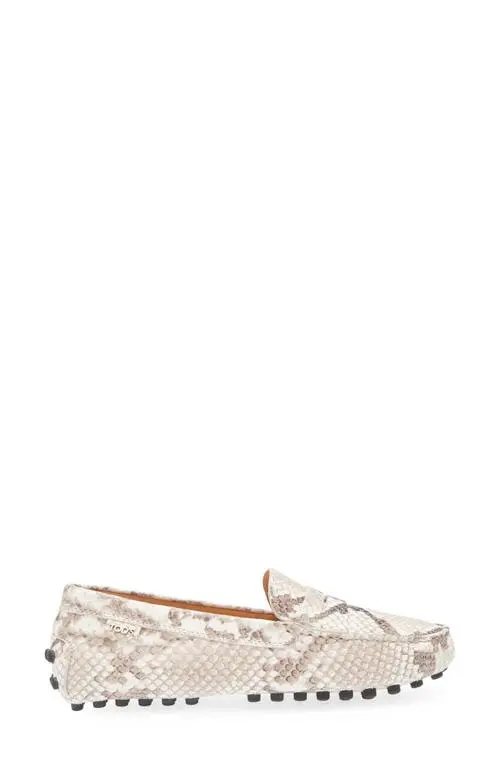 TOD'S Gommino Snakeskin Embossed Driving Loafer