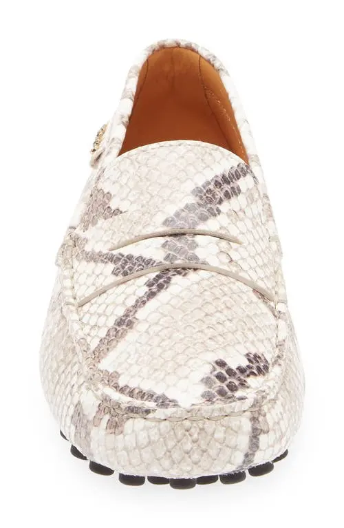 TOD'S Gommino Snakeskin Embossed Driving Loafer