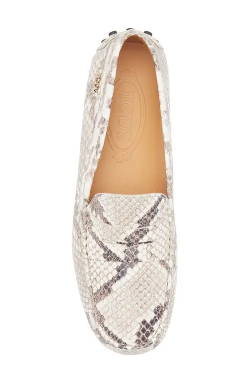 TOD'S Gommino Snakeskin Embossed Driving Loafer