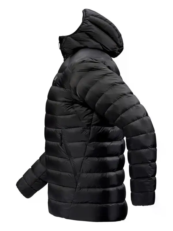 Arc'teryx Cerium Hooded Down Jacket