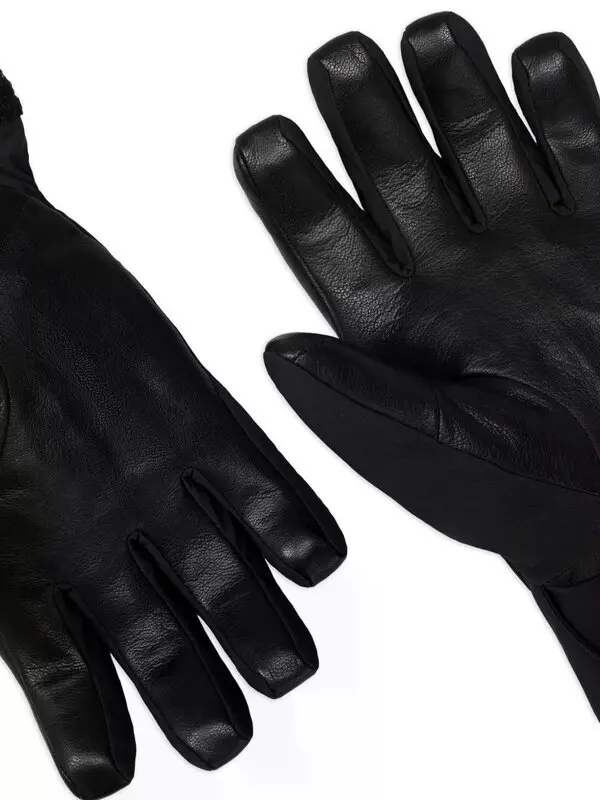 Arc'teryx Venta Gtx Gloves