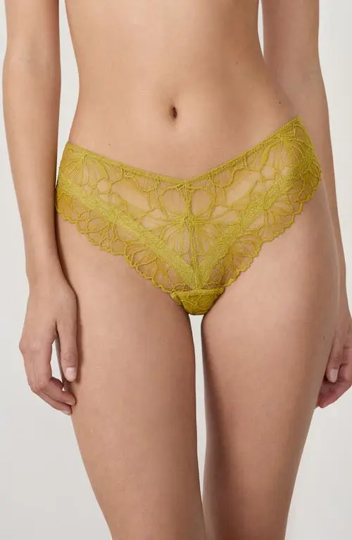 ETAM Hedonisme Lace Hipster Panties - Anise