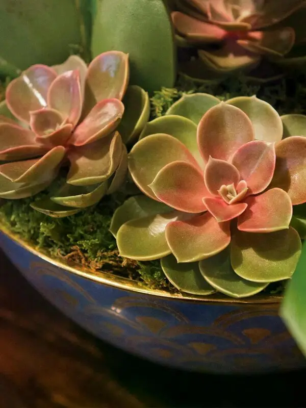 L'Objet Fortuny Papiro Bowl