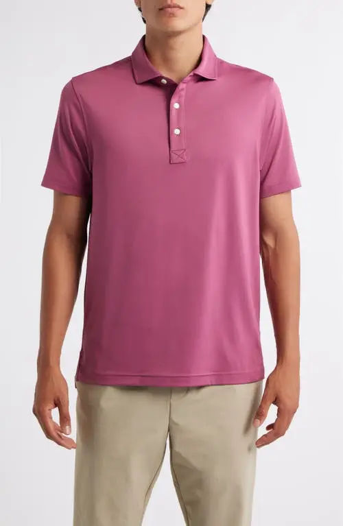 Brooks Brothers Solid Performance Series Polo - Violet Quartz