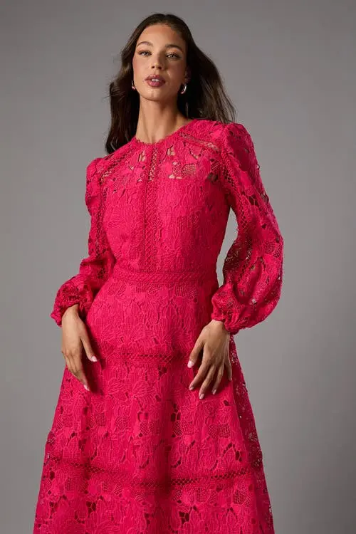 Coast Lace Panelled Long Sleeve Dress