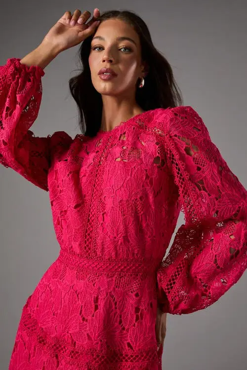 Coast Lace Panelled Long Sleeve Dress