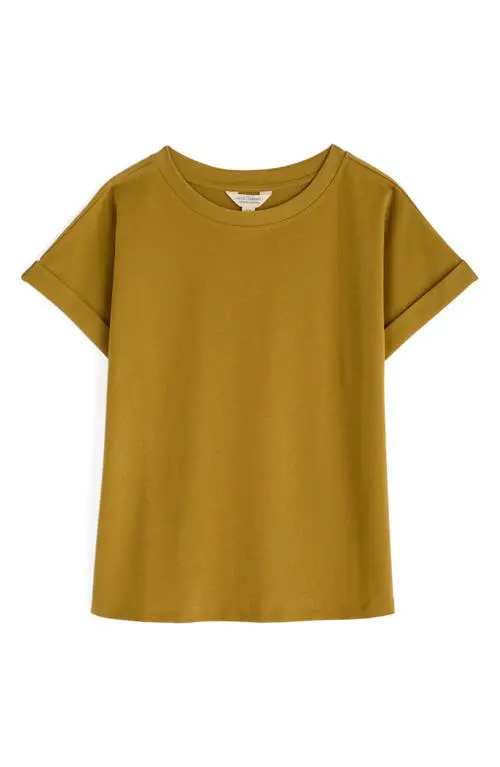 SEASALT CORNWALL Porthzennor Organic Cotton T-shirt - Pear