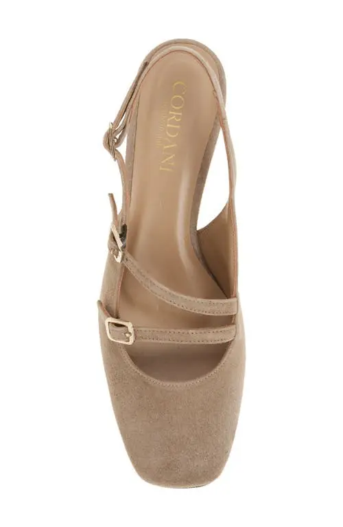 Cordani Gavin Slingback Pump - Fango Suede