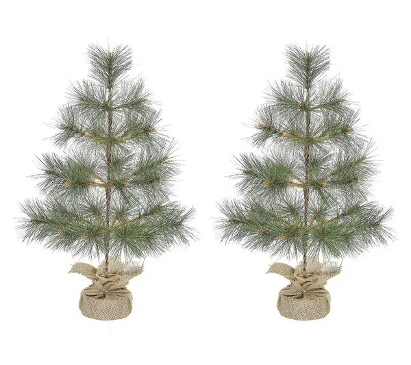 FRASER HILL FARM 3-ft. Farmhouse Fir Christmas Tree Set Of 2 - One-color
