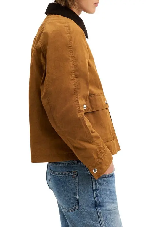 Madewell Waxed Zip Jacket - Sepia