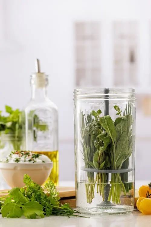 KILNER Fresh Herb Keeper