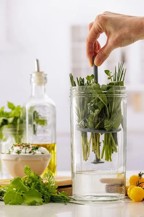 KILNER Fresh Herb Keeper