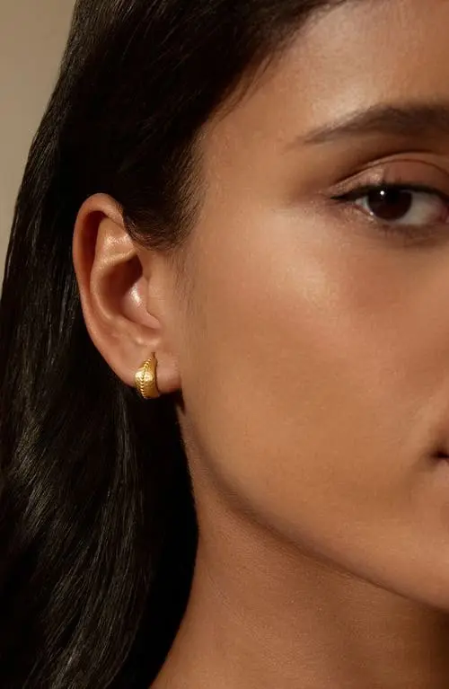 SATYA JEWELRY Huggie Hoop Earrings