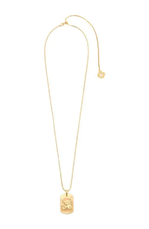 Maje Zodiac Sign Plaque Necklace - Taurus