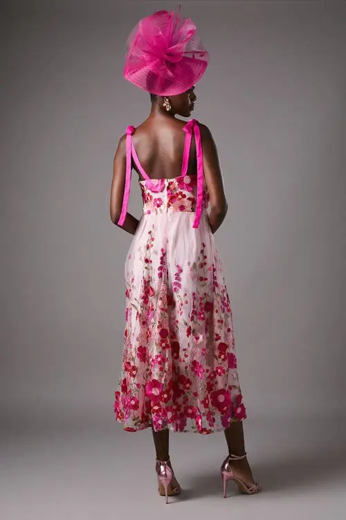 Coast Embroidered Mesh Midi Dress