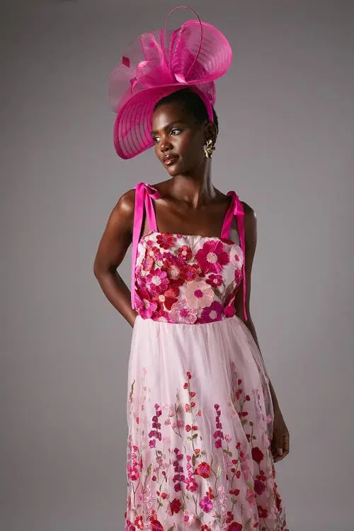 Coast Embroidered Mesh Midi Dress