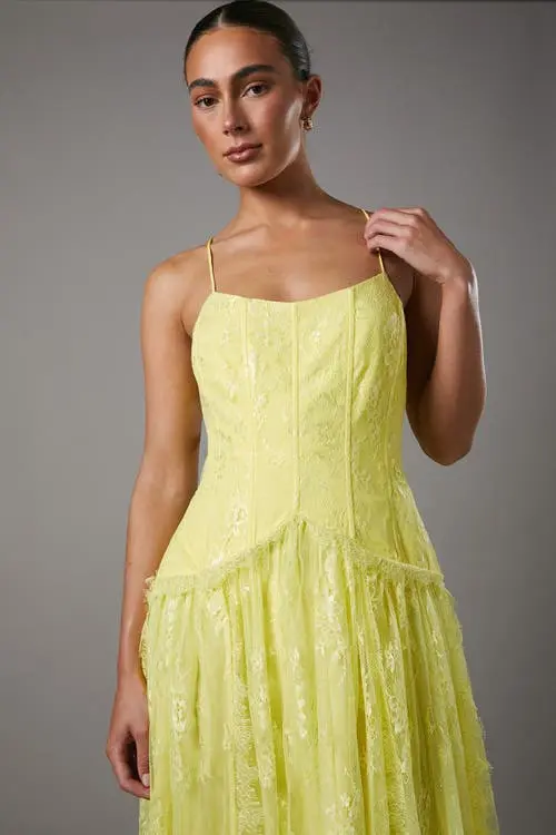 Coast Lace Cami Maxi Dress