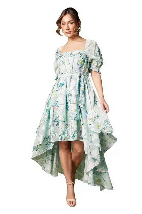 Coast Short Sleeve Printed Chiffon Midi Dress
