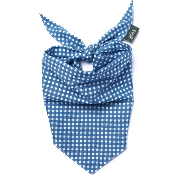 THE PAWS Gingham Dog Bandana - Blue