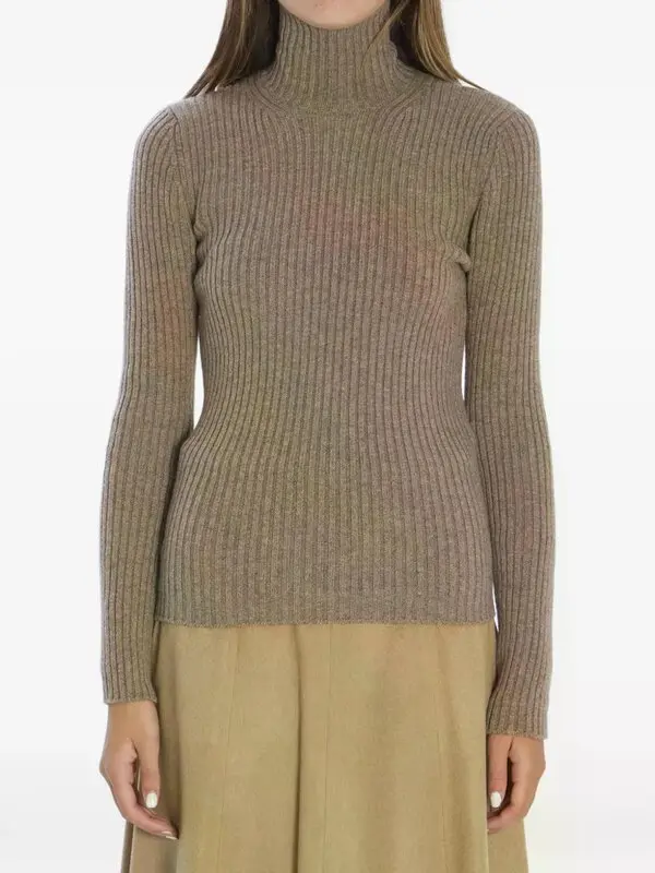 Max Mara Ribbed High-neck Sweater