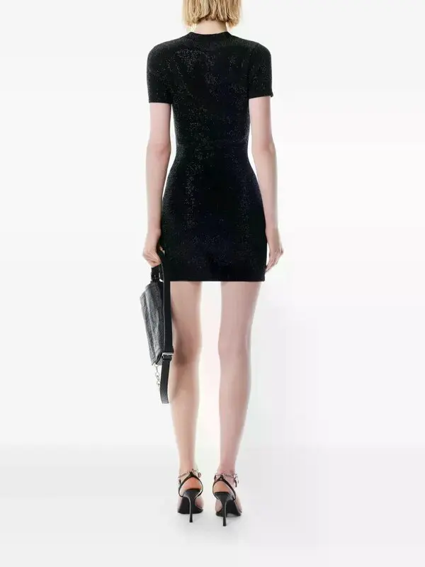 Alexander Wang Crew-neck Mini Dress