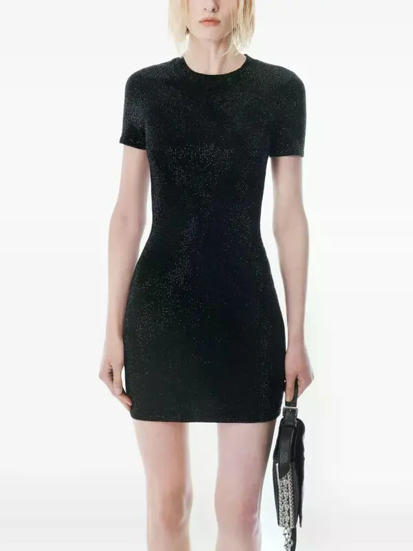 Alexander Wang Crew-neck Mini Dress