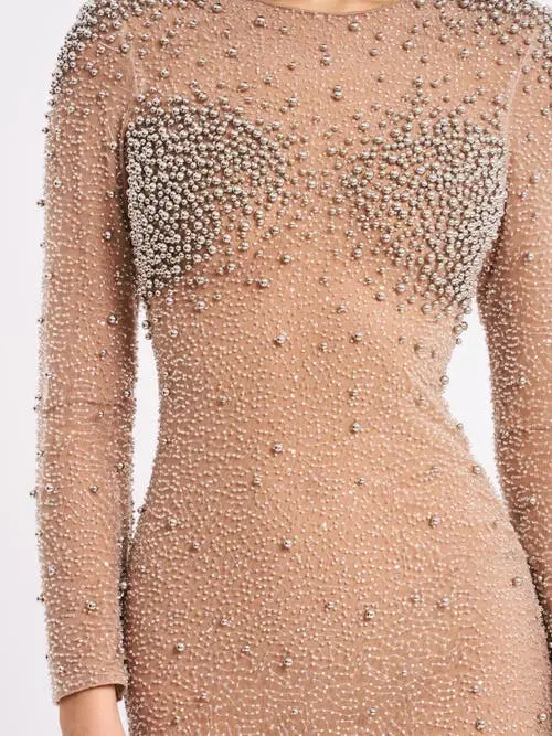 MISS CIRCLE NEW YORK Embroidered Mesh Mermaid Gown