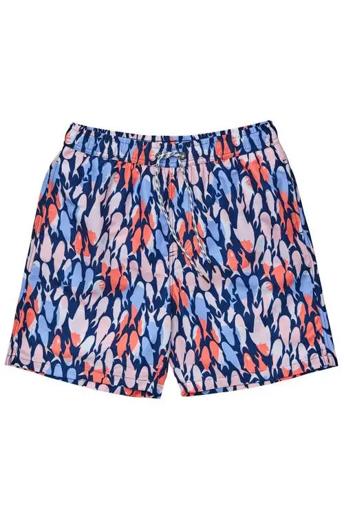 SNAPPER ROCK Printed Swim Shorts - Fish Frenzy
