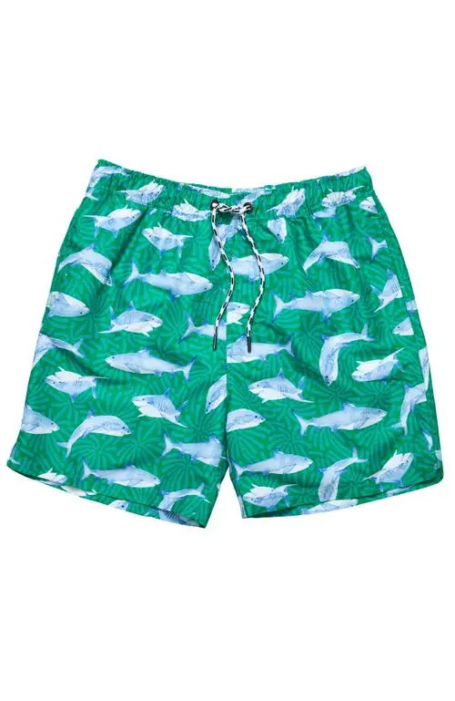 SNAPPER ROCK Printed Swim Shorts - Reef Shark