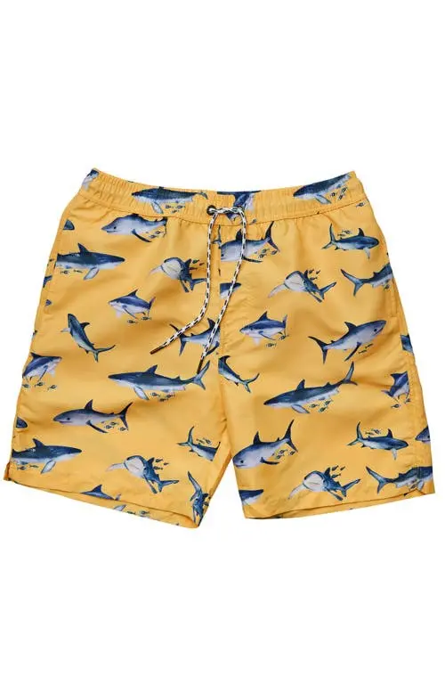 SNAPPER ROCK Printed Swim Shorts - Sunrise Shark