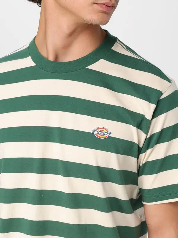 Dickies T-shirt - Striped