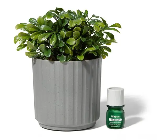 LIFELINES Rechargeable Faux Plant Aroma Diffuser