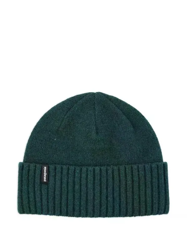 Patagonia Brodeo Beanie - Green