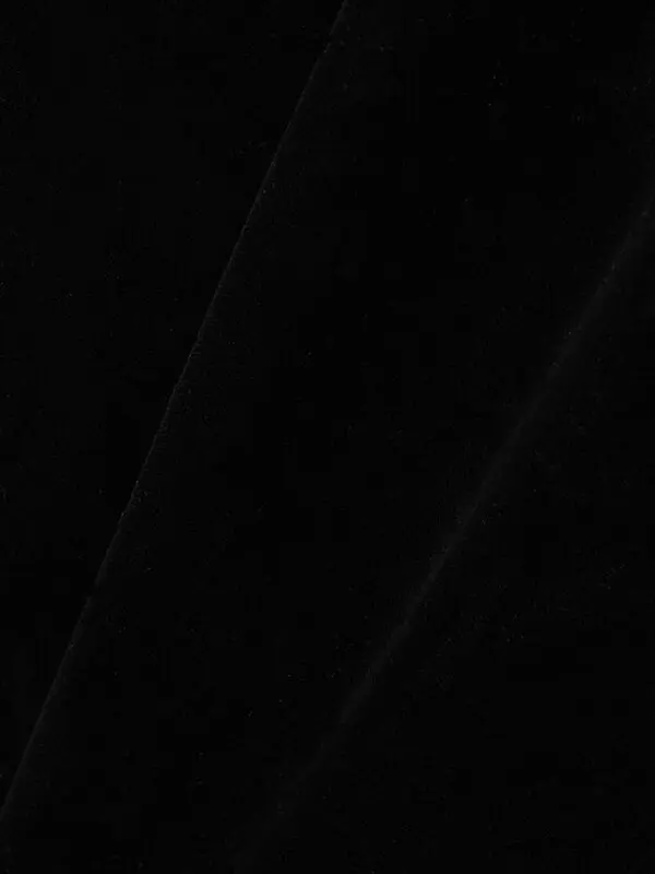 Carolina Herrera Velvet Maxi Skirt