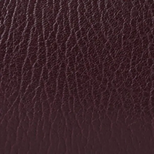 Mulberry Grained Leather Alexa Crossbody Bag - Red