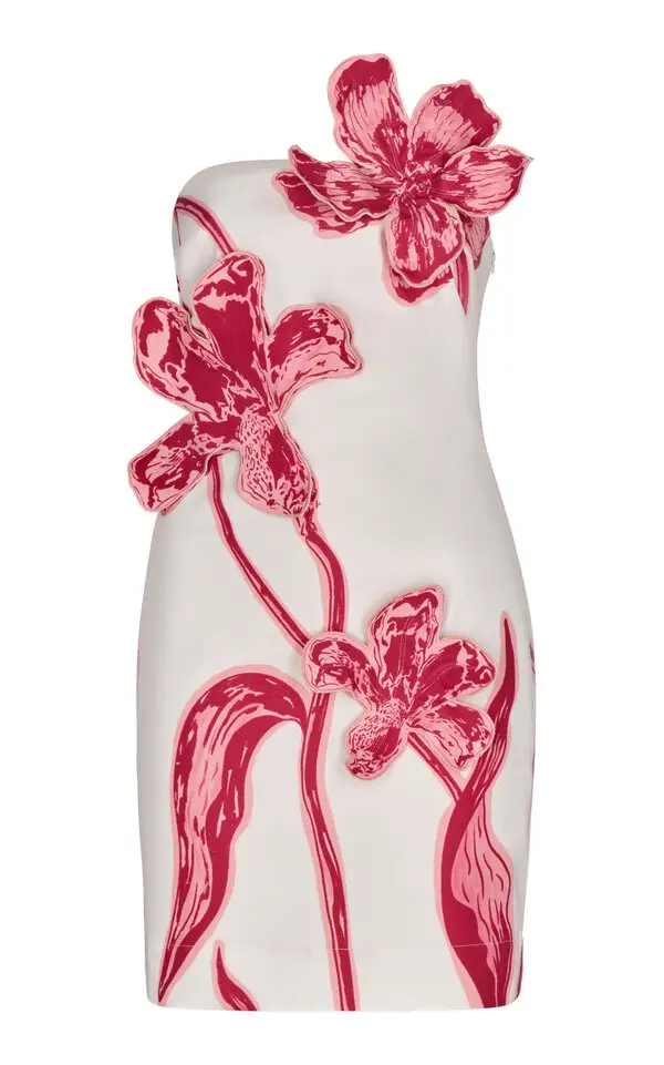 ANDRES OTALORA Origen Esencial Embroidered Mini Dress - Floral