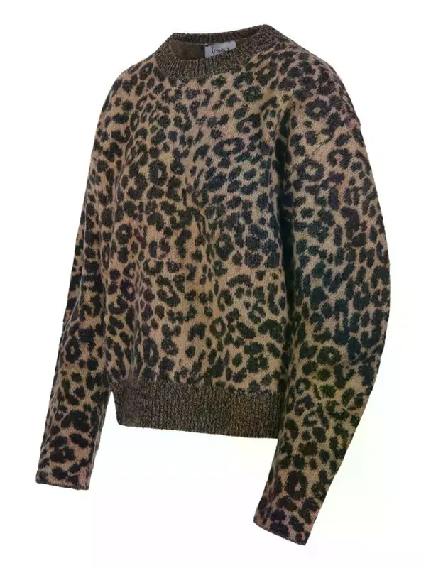 NUDE Leopard-print Sweater - Brown