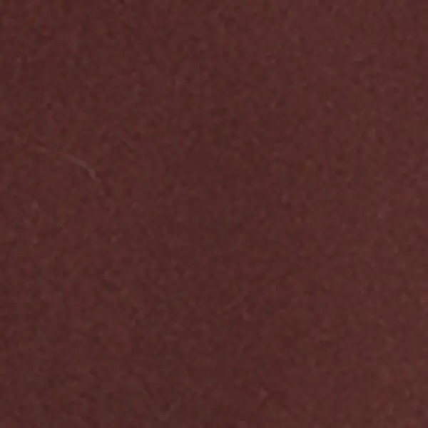 Loewe Cotton-silk Buckled Mini Skirt