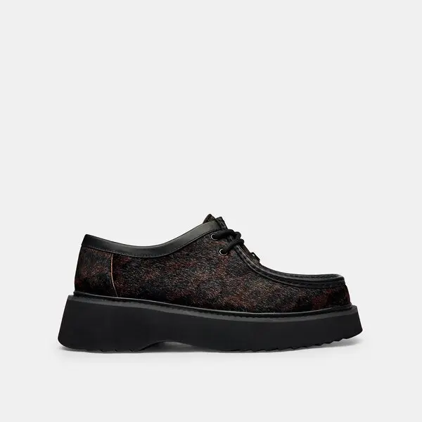 COACH Sculpted C Chukka Boot With Leopard Print