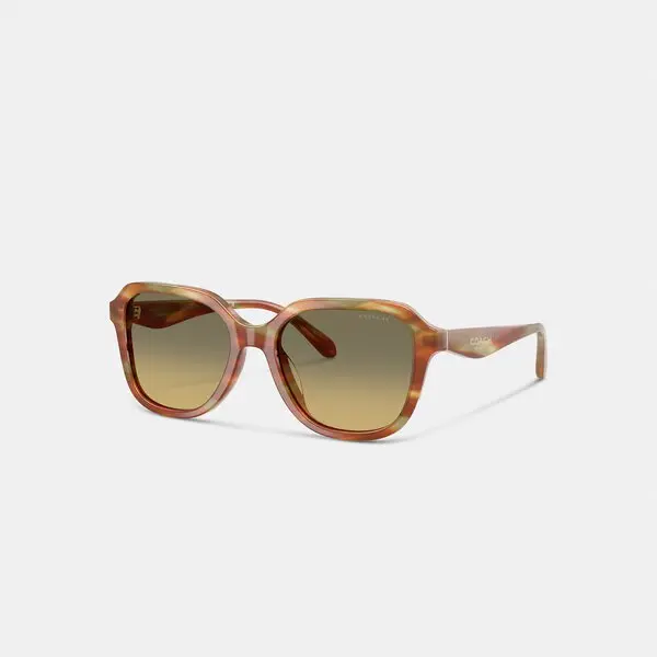 COACH Oval Square Sunglasses - Bark