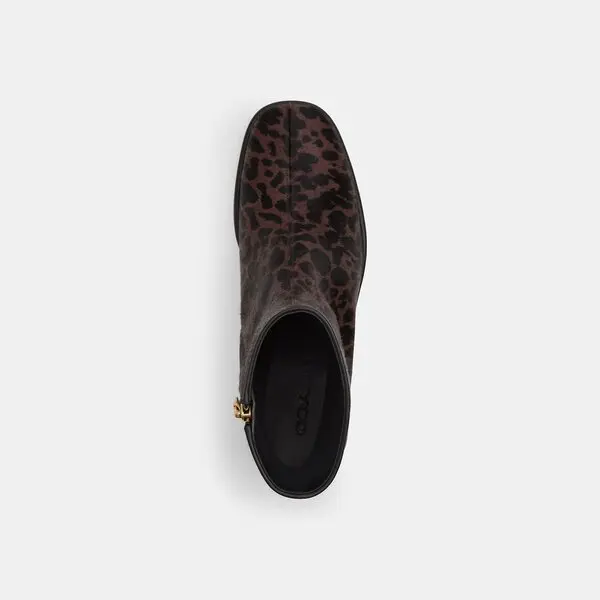 COACH Gigi Leopard Print Bootie - Dark Leopard