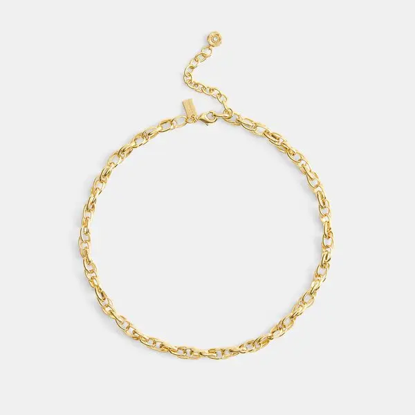 COACH Brushed Link Chain Necklace