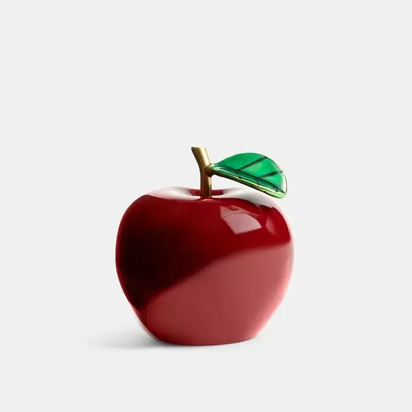 COACH® Apple Shoe Charm