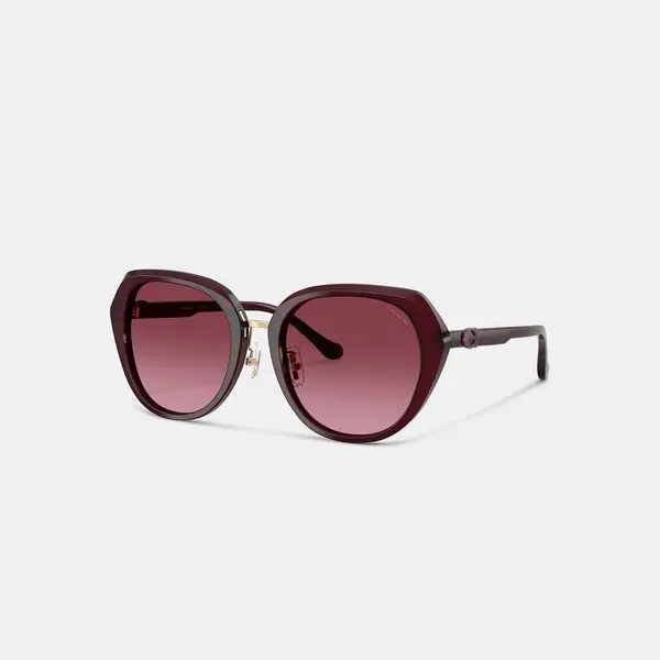 COACH Oversized Round Sunglasses - Berry Pink Gradient/berry